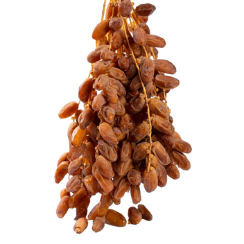 Dattes fraîches et variétés rares – Croissy Fruits