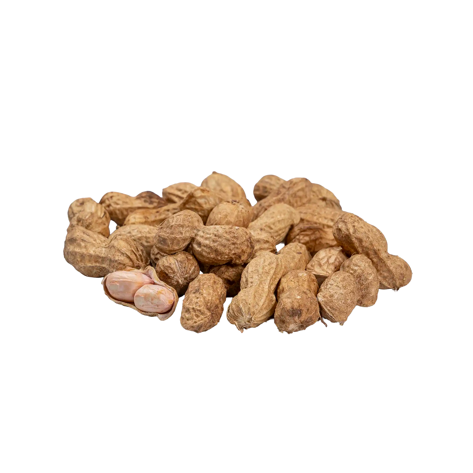 Arachide du Sénégal Fraîche – Saveur Exotique et Naturelle